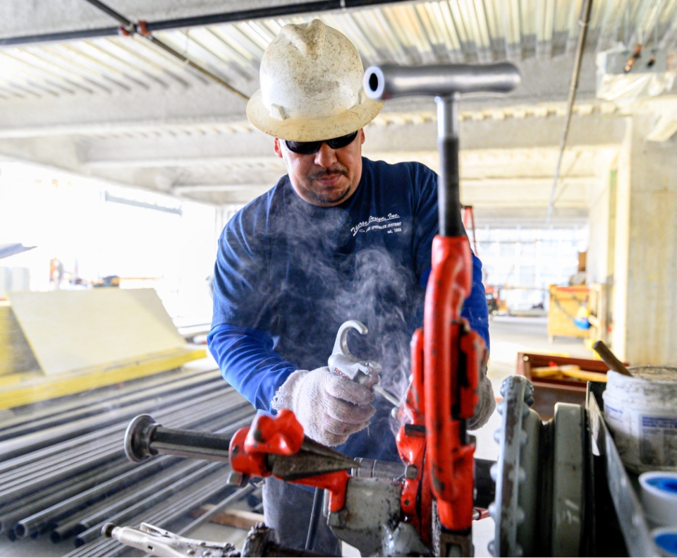 Thorpe Design - Noverra